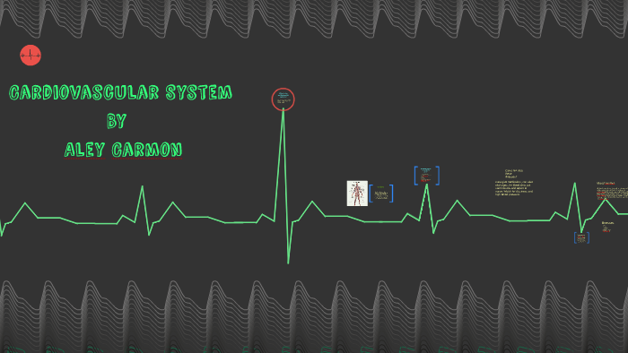 Cardiovascular System by Alberta Carmon