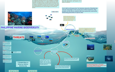 Philippine Marine Biodiversity By Avegail Lumapat On Prezi