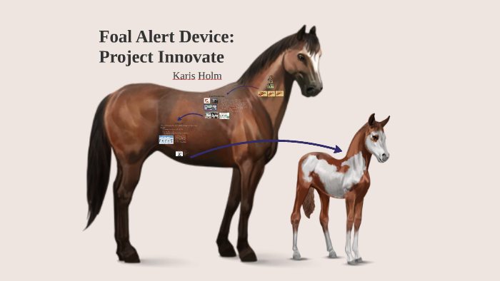 Foal Alert Device: Project Innovate by Karis Holm on Prezi