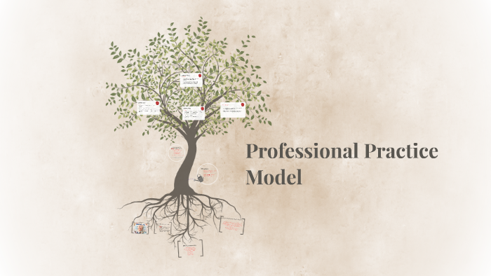 Professional Practice Model by PH NSG on Prezi