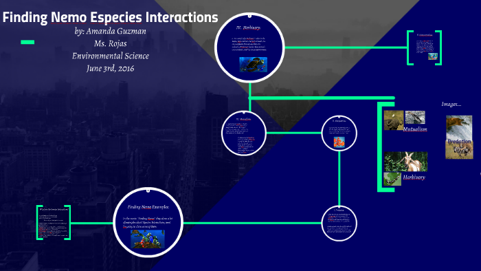 Finding Nemo Especies Interactions by amanda guzman on Prezi