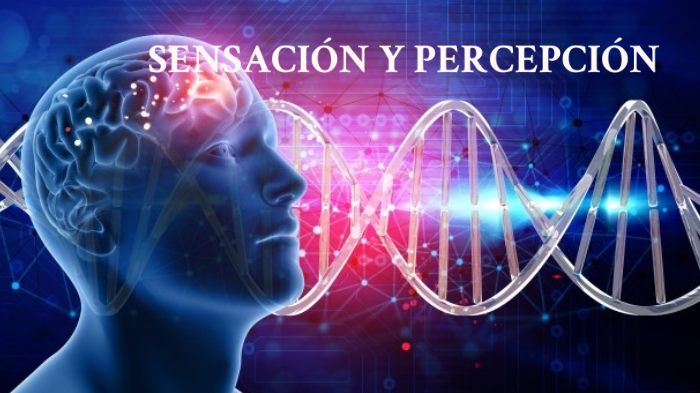 SENSACION Y PERSEPCION by giss sanchez on Prezi