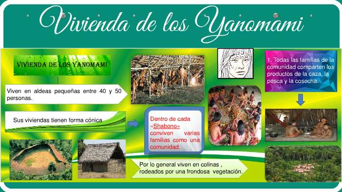 Vivienda de los Yanomami by Stephany Sofia Palencia Khan on Prezi