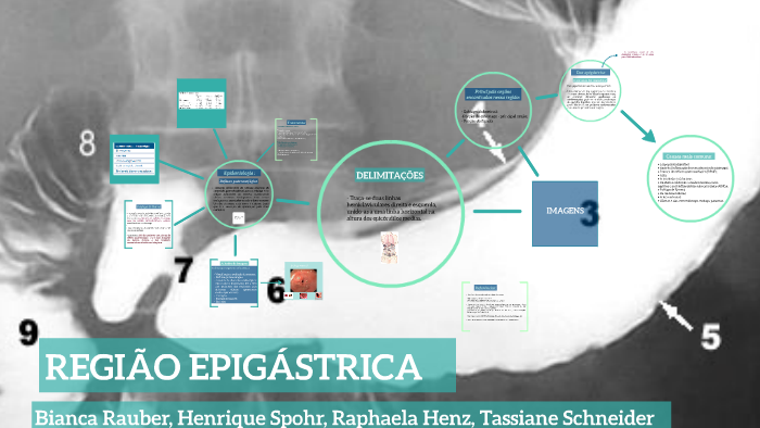 REGIÃO EPIGÁSTRICA by Tassiane schneider on Prezi