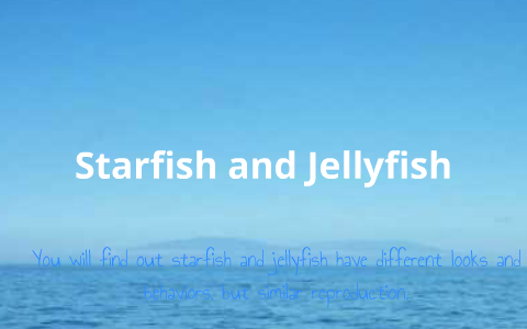 Jellyfish vs. Starfish by Madison Brunswick on Prezi