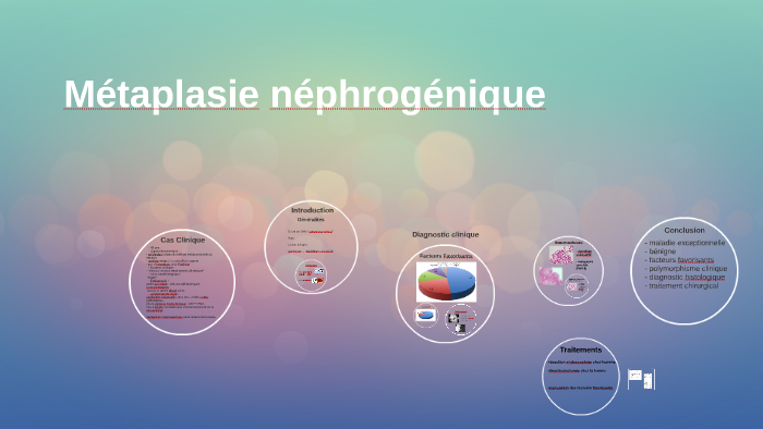 Métaplasie néphrogénique by François-René Roustan on Prezi