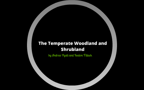 Temperate Woodland and Shrub-land by Andrew Pyatt on Prezi