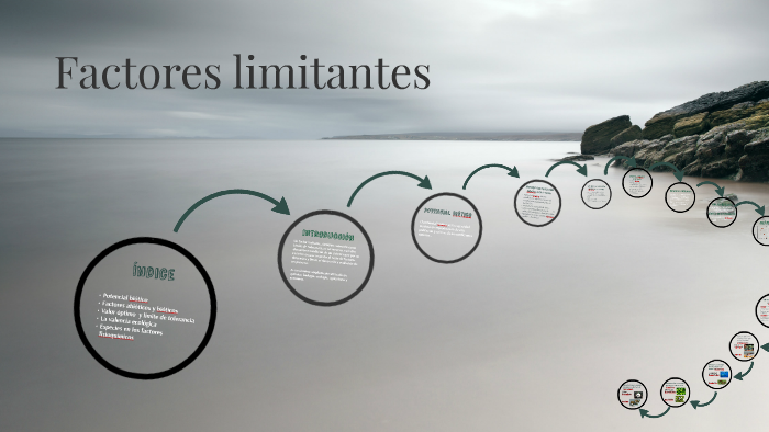 factores limitantes by Jose Maria Lorca Moreno on Prezi