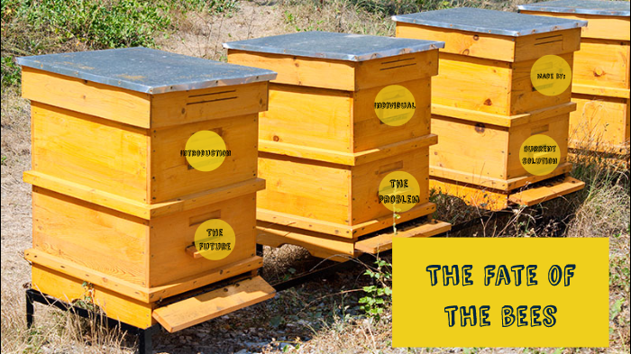 Brian The Fate of the Bees by brian rachal on Prezi