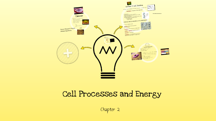 2--Cell Processes and Energy by Lisa OConnor on Prezi
