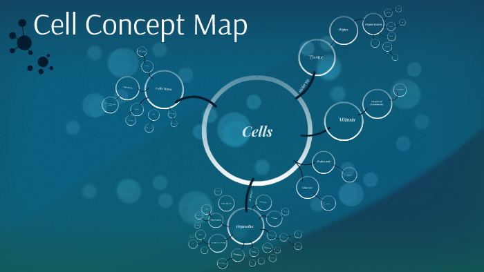 Cell Concept Map by Wittle Weanna