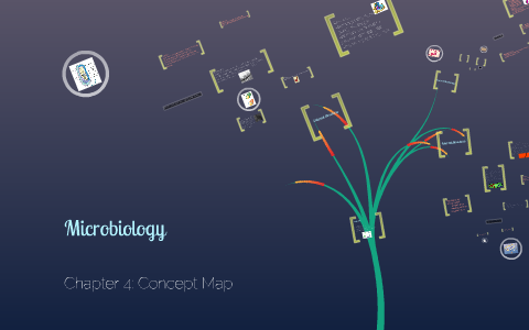 Microbiology Chapter 4: concept map by sarah gallo on Prezi