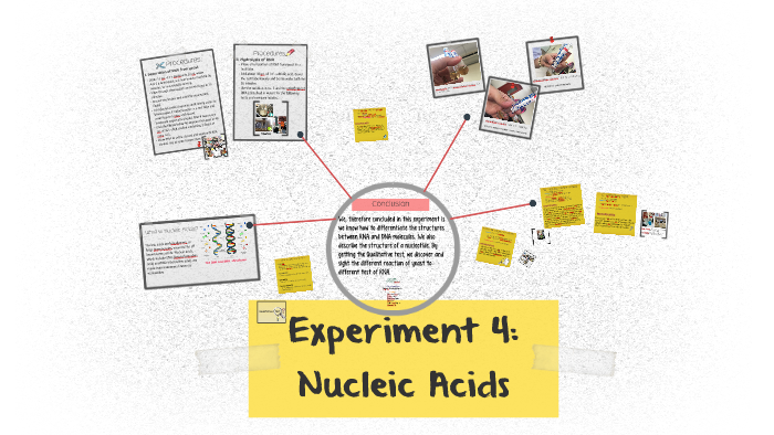 Experiment 4: Nucleic Acids by Kim Fainiem on Prezi