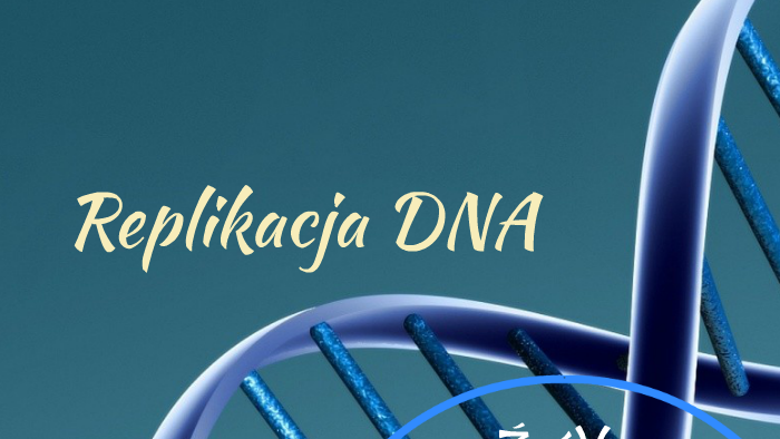 Replikacja DNA by Patryk Łuczak on Prezi