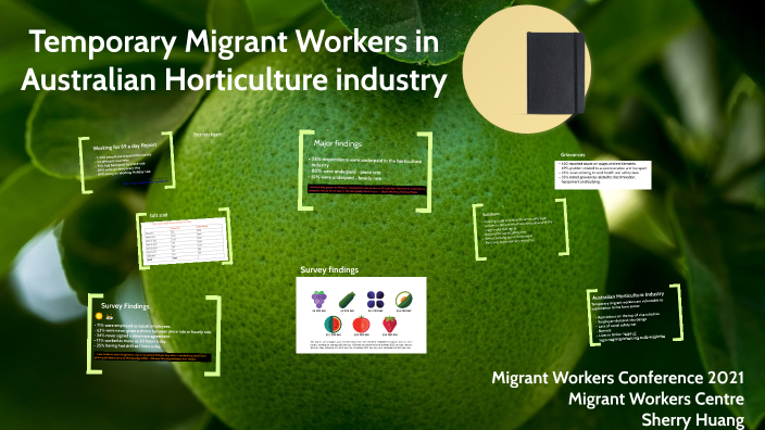 Temporary Migrant Workers in Australia Horticulture industry by sherry ...