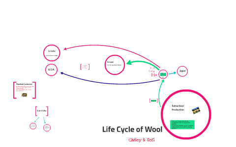 Life Cycle of Wool by Casey Barber on Prezi