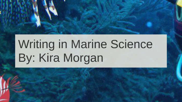 What do you find important to know about writing in your fie by kira ...