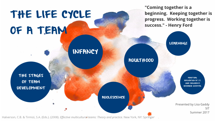 The Life Cycle of a Team by Lisa Gaddy on Prezi