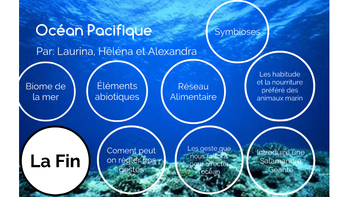 Océan atlantique by Alexandra Seaman on Prezi