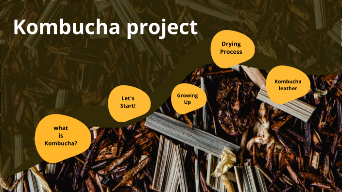 Kombucha project by Aya Shiraishi on Prezi