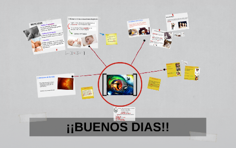 Ambitos y contextos del desarrollo humano by Mhafer Cordovaa on Prezi