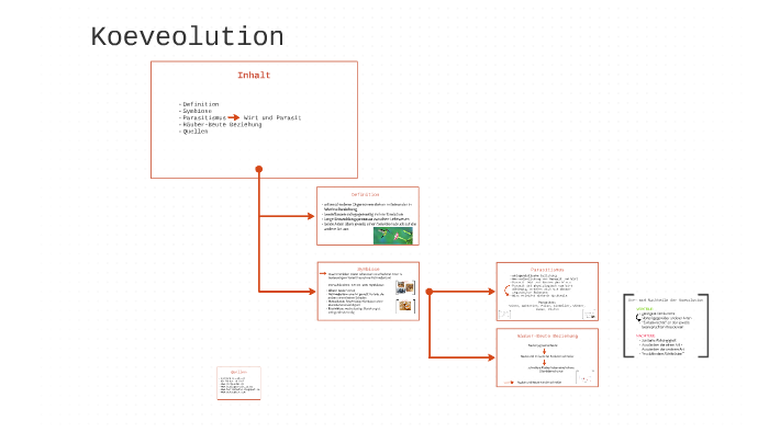 Koevolution by christin schroeter on Prezi