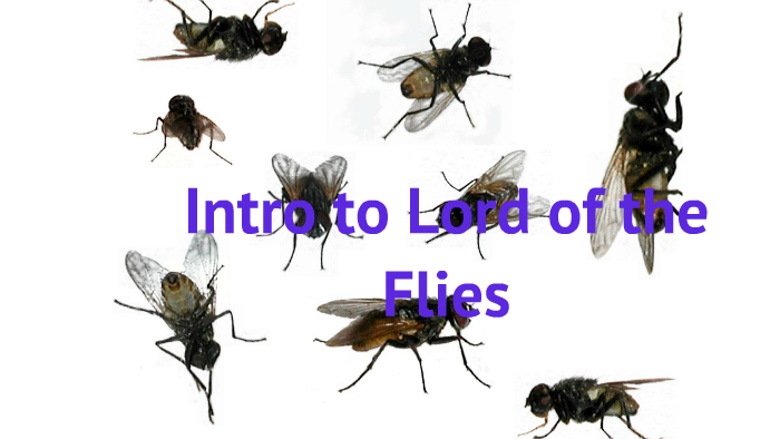 Lord of the Flies pre-reading activity by Margaret Spaulding on Prezi