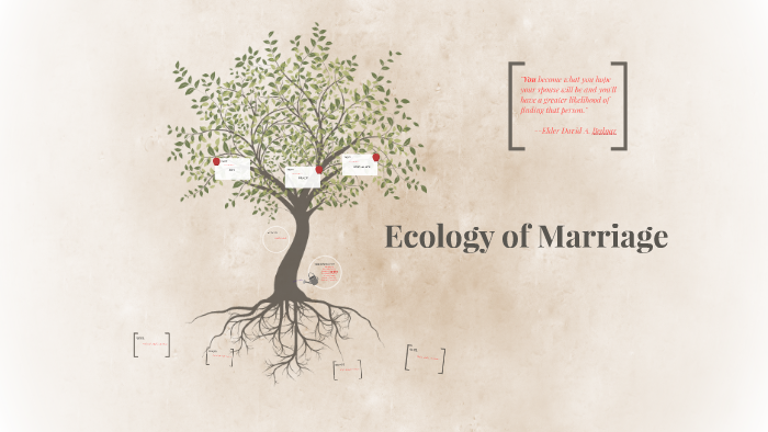 Chpt. 9: Ecology of Marriage by Cindy Christensen on Prezi