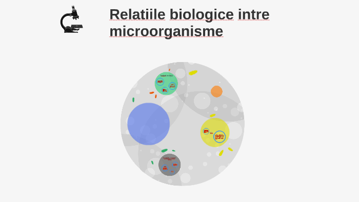 Relatiile biologice intre microorganisme by Myhay Radulescu on Prezi