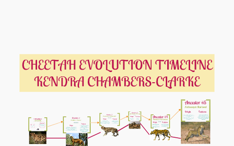 Cheetah evolution STSE by Kendra Chambers-Clarke on Prezi