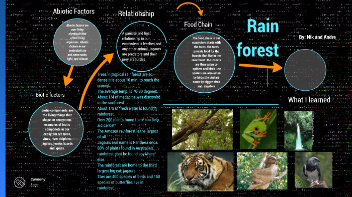 Tropical rain forest by Andre Pinner on Prezi