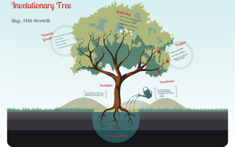 Involutionary Tree by Rachel Mazac on Prezi