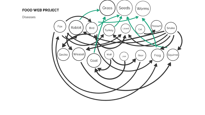 FOOD WEB PROJECT by Li Zijing on Prezi
