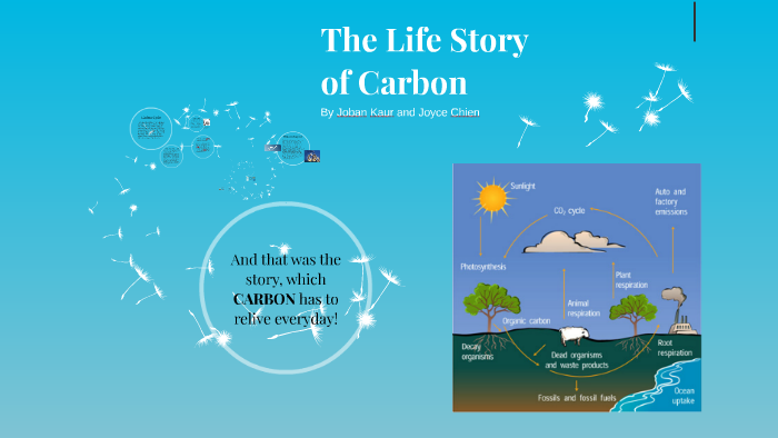 The Life Story of Carbon by Joban Kaur on Prezi