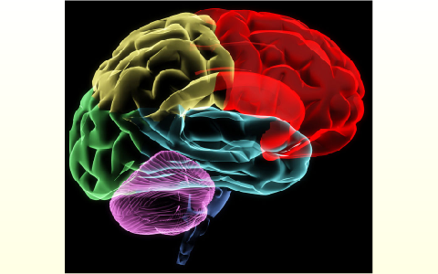 Psychology Definitions by Nicole Whitlow on Prezi