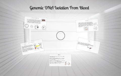 DNA Isolation From Human Blood Samples by Carina Grand on Prezi