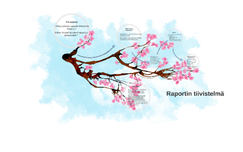 Raportin tiivistelmä by Lauri Leppäaho on Prezi