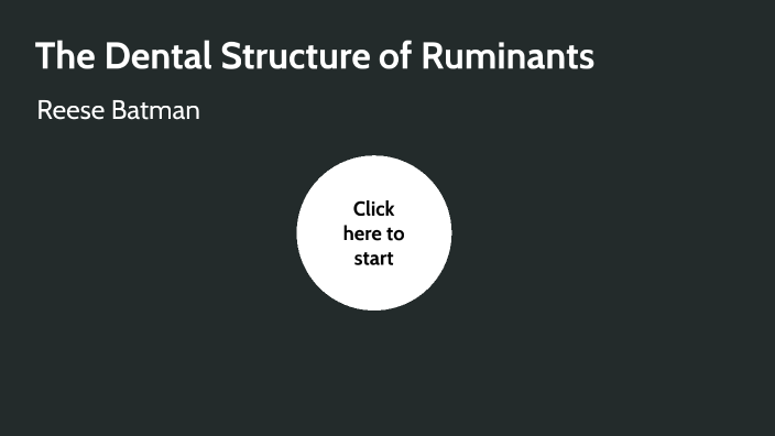 Dental Structure of Ruminants by Reese Batman on Prezi