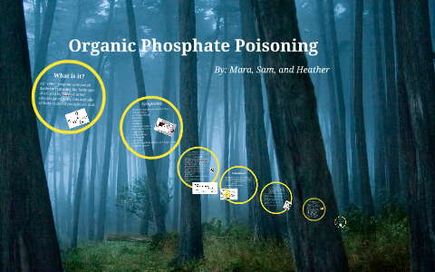 Organic phosphate poisoning by Samantha Dewey on Prezi