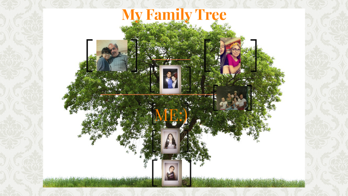 asl family tree by Sandy Gallo on Prezi