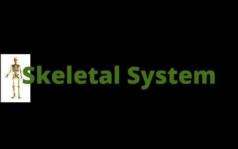 Skeletal System by Adam T on Prezi