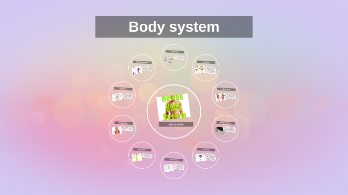 body system by courtney dougan on Prezi
