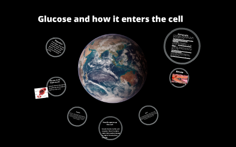 The process of glucose entering the cell by Ian Summers on Prezi