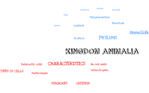 Biology Animals Final Preparation Concept Map by Ari Byun on Prezi