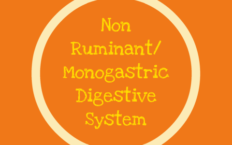 Non Ruminant Digestive System by Jacob Allen on Prezi