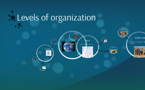 Levels of organization by Ramírez Cristina on Prezi