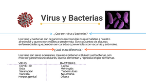 BIOLOGIA VIRUS Y BACTERIAS by victoria liendo on Prezi Design