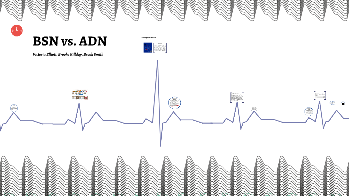BSN vs. ADN by Brook Smith on Prezi