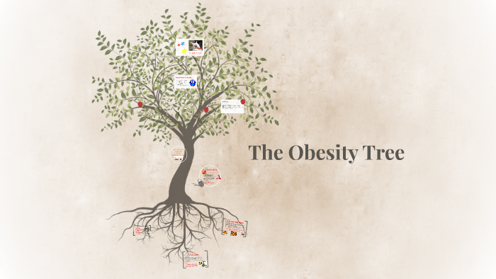 The Obesity Tree by bunnylove quan on Prezi