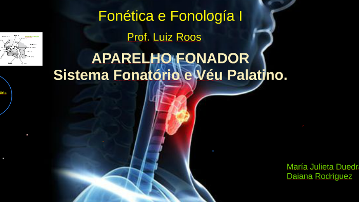 Sistema fonatório by maría julieta duedra on Prezi